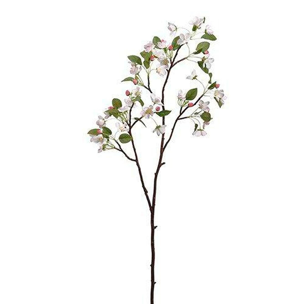 Rama flor de manzano - Siman Nicaragua