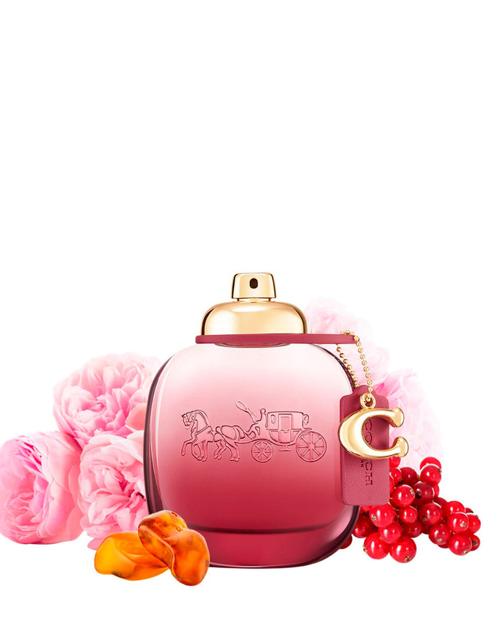 Coach Wild Rose Eau de Parfum 90ml - Siman El Salvador