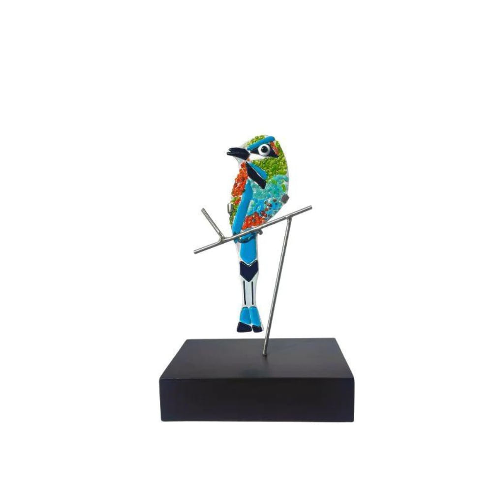 Torogoz Pequeño El Imposible - Siman El Salvador