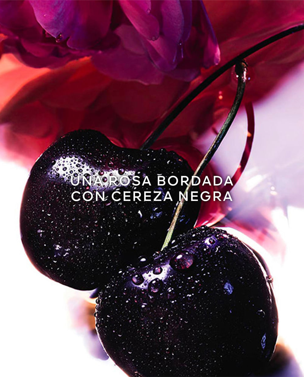 La Petite Robe Noire Eau de Parfum - Siman Costa Rica